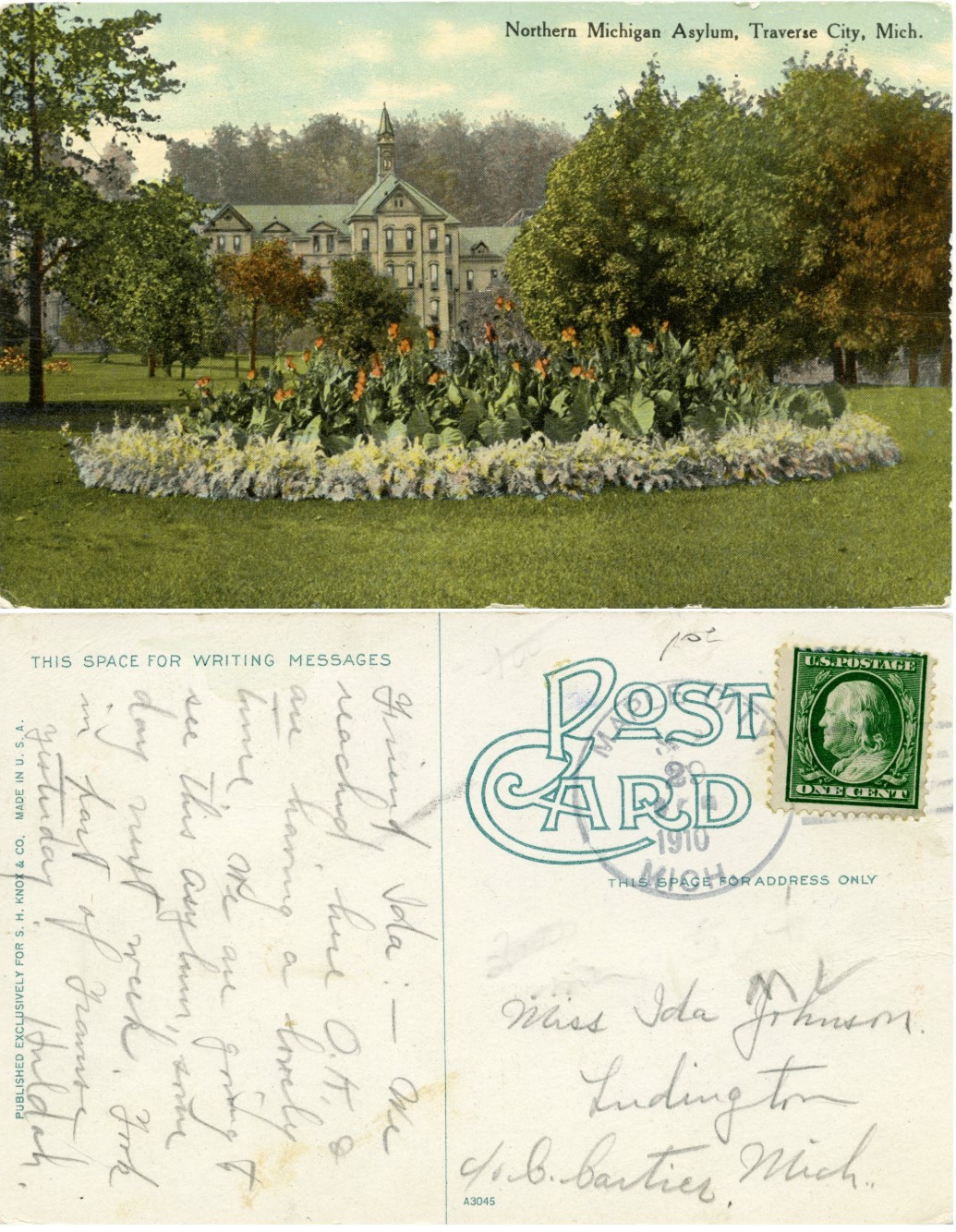 Picnicking at the State Hospital: Treatment and Tourism at the Traverse City State Hospital ...